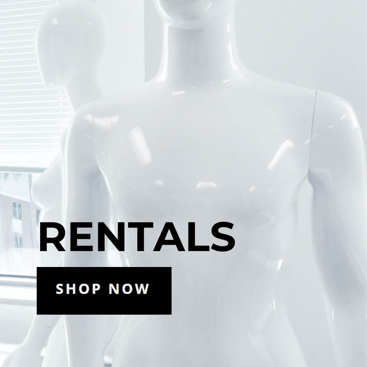 Custom Display & Printing Solutions | Display Group