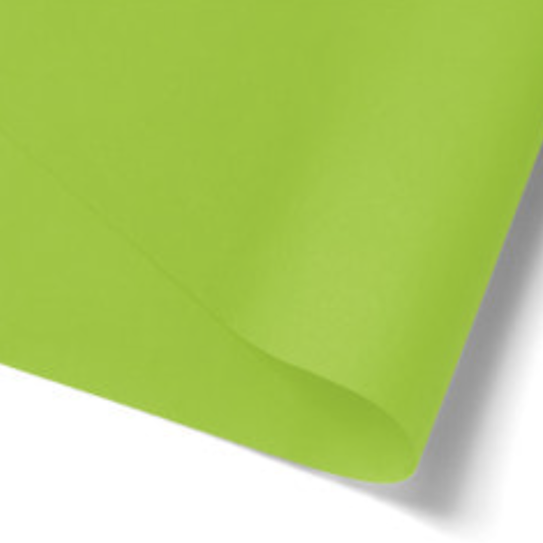 Solid Lime Tissue Paper - Display Group Inc