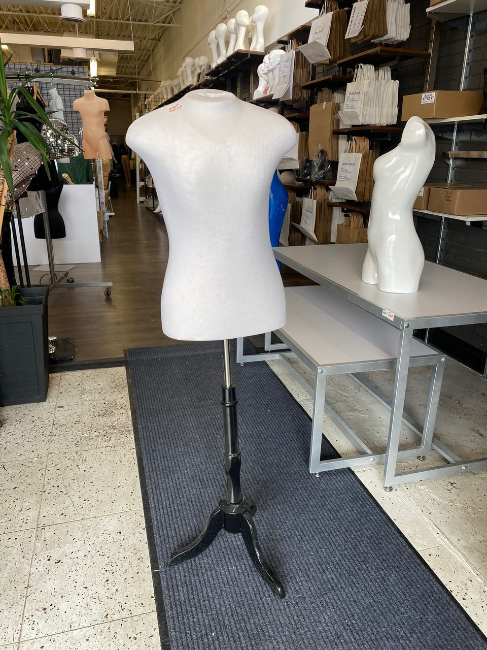 MALE BODY FORM - Display Group Inc